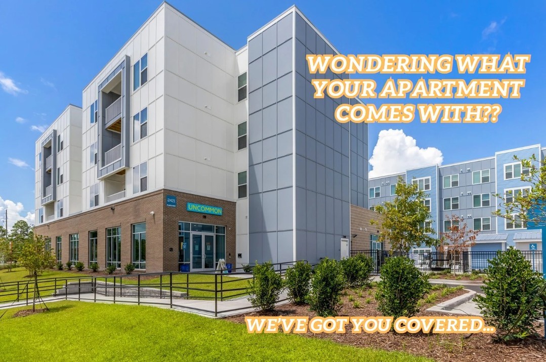 UNCOMMON Wilmington | Apartments for Rent in Wilmington, NC