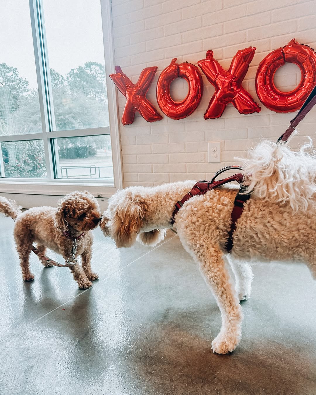 UNCOMMON Wilmington | Apartments for Rent in Wilmington, NC